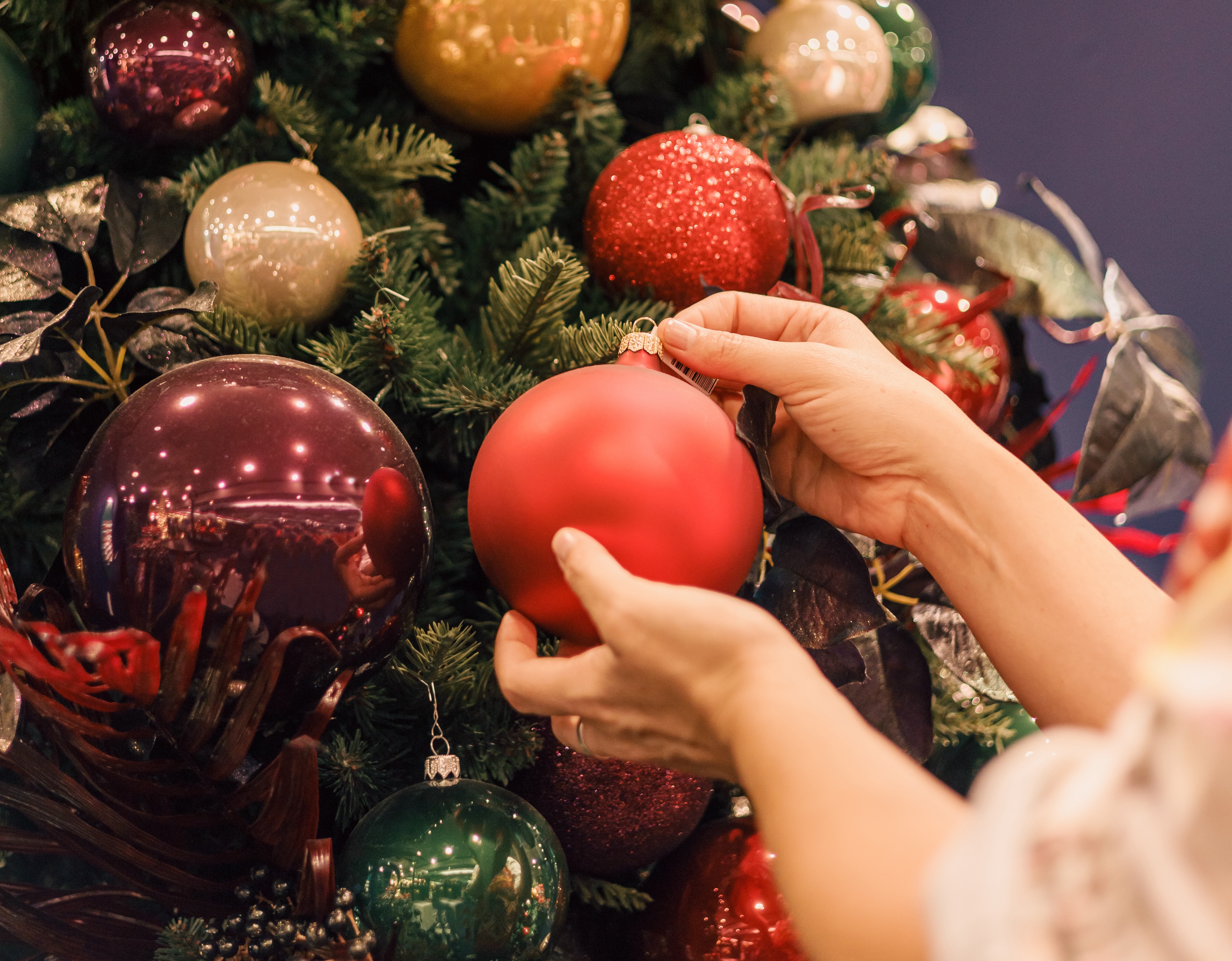 Deck the Halls - Simi Valley | Shepherd Church | Shepherd Church
